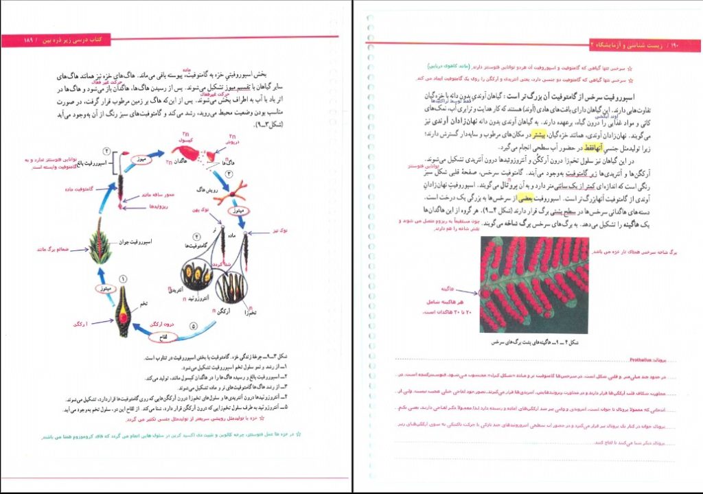 دانلود پی دی اف کتاب زیر ذره بین زیست جامع